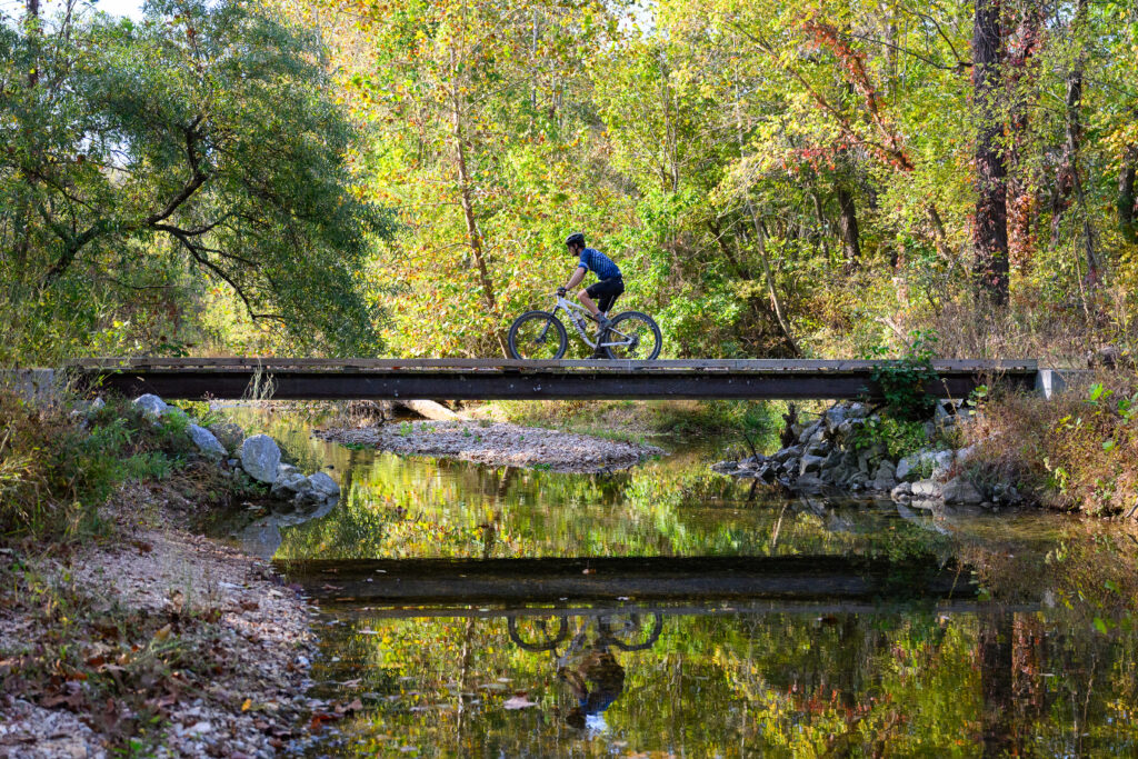 Life Time Big Sugar Classic